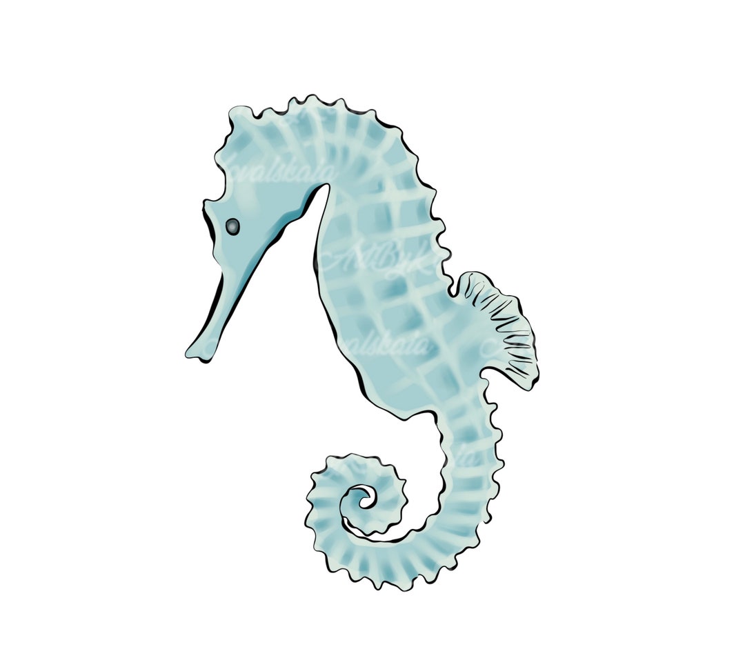 Seahorse Clipart, Seahorse PNG, Digital Download - Etsy