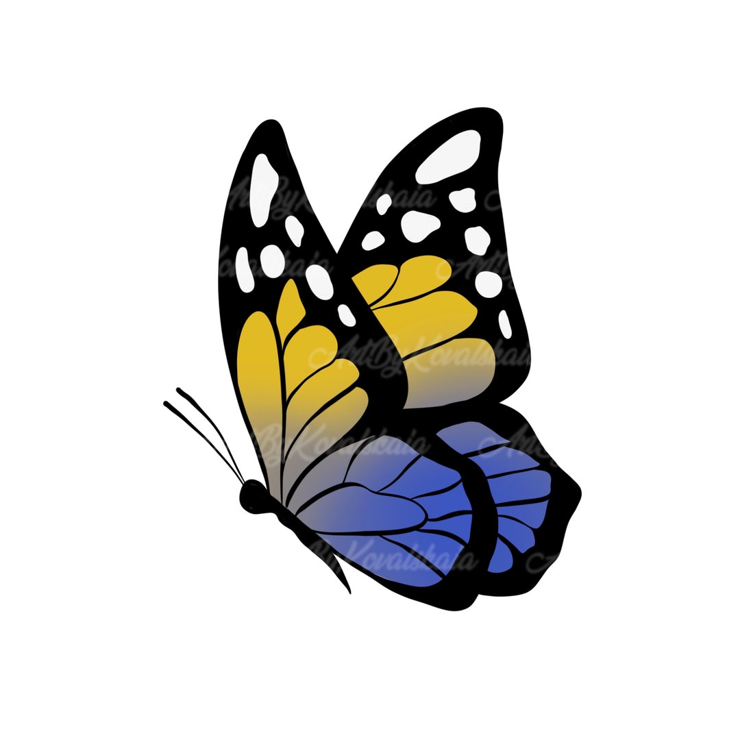 Butterfly Clipart, Butterfly PNG, Digital Download - Etsy