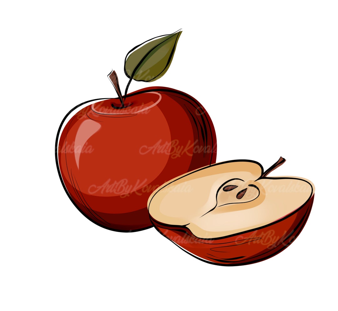 Apple Clipart, Red Apple PNG, Fruits Clip Art, Digital Download - Etsy