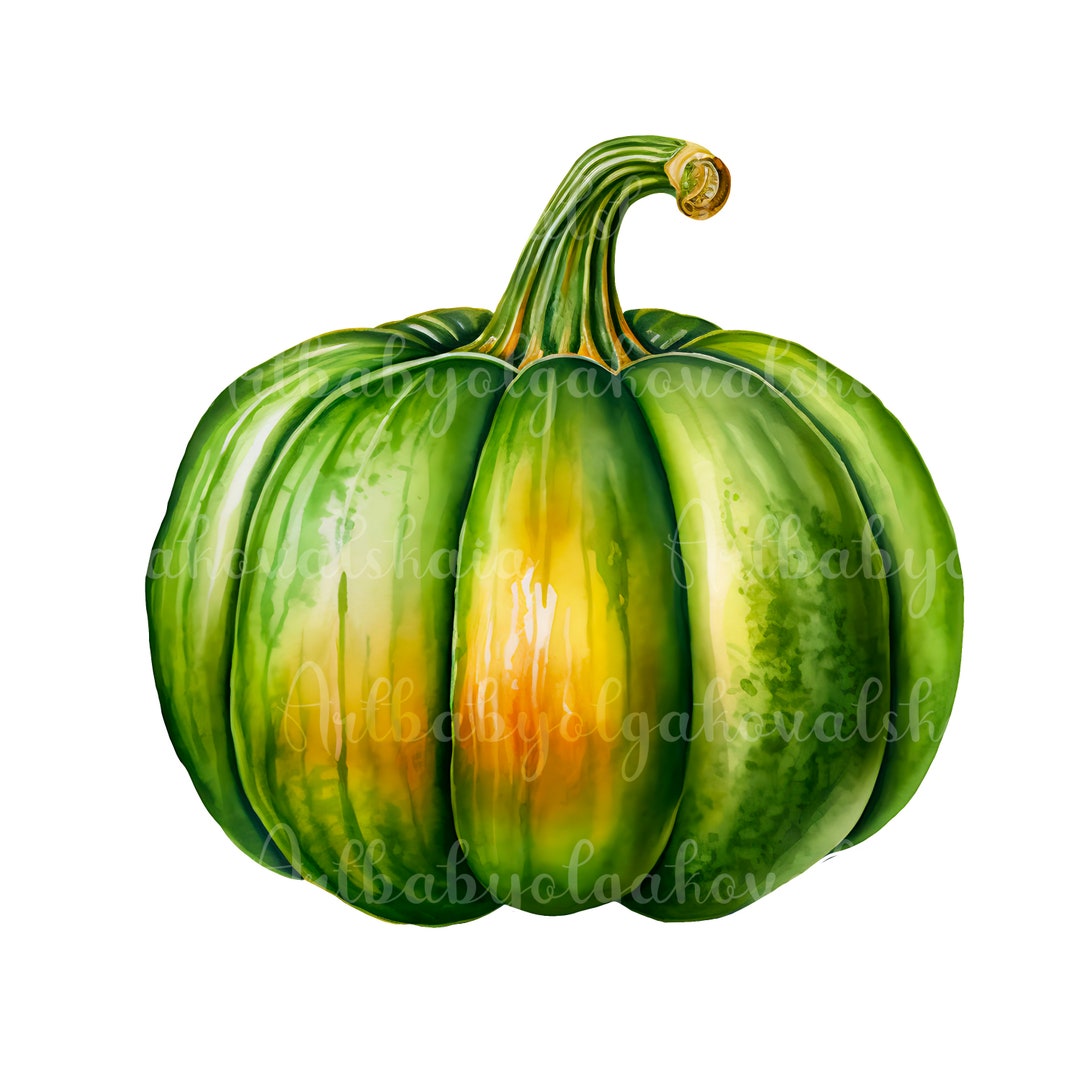 Watercolor Green Pumpkin Clipart PNG Thanksgiving Clip Art - Etsy