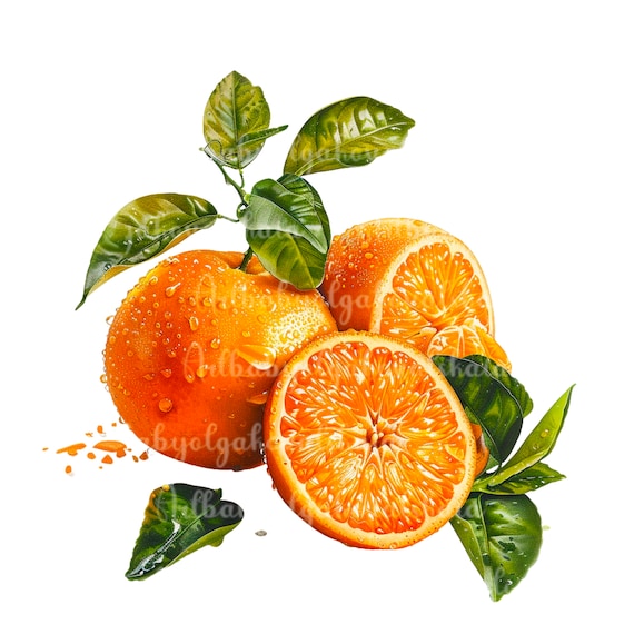 Fruta Naranja Png