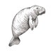 Manatee Clipart, Manatee PNG, Outline, Digital Download - Etsy
