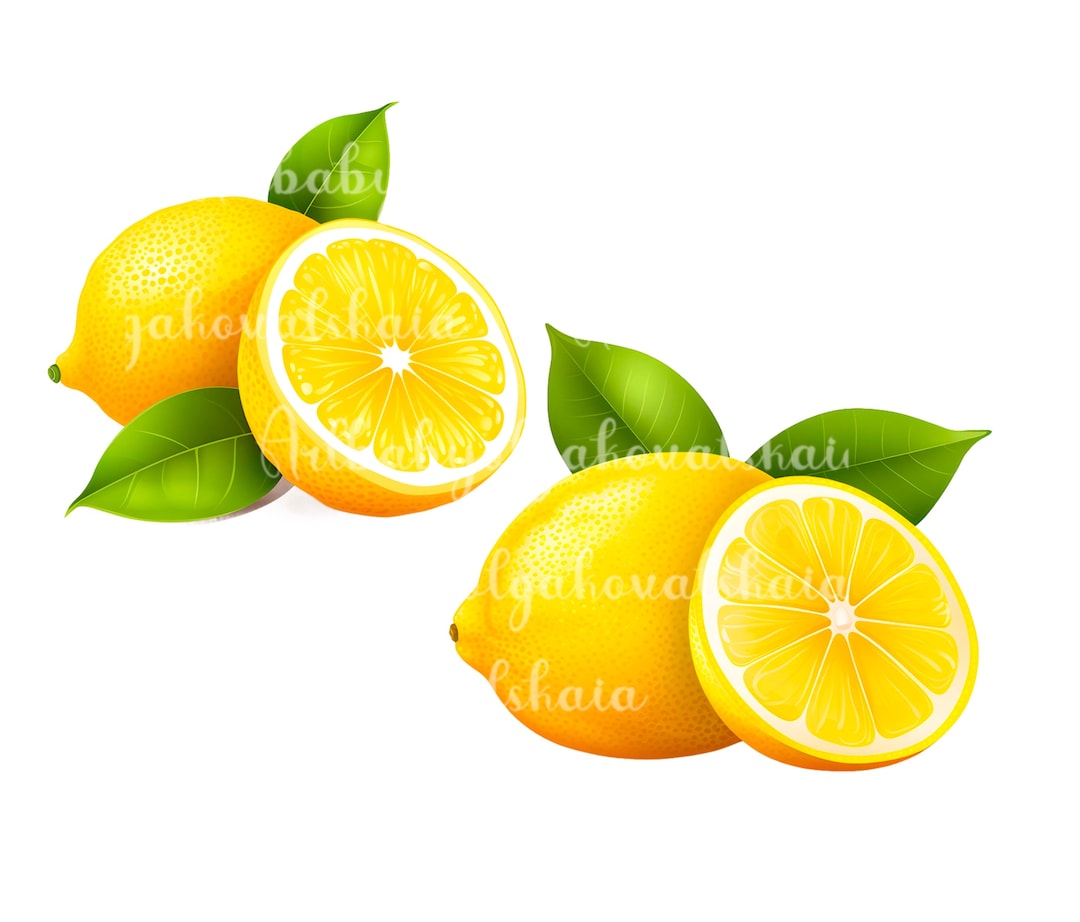 Lemon Clipart, Lemons PNG, Citrus Clip Art, Digital Download - Etsy