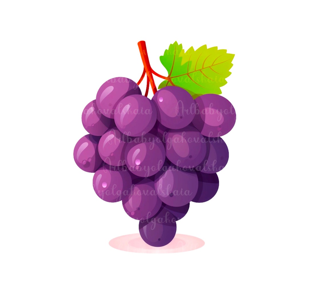 Grape Clipart PNG, Fruits Clip Art, Digital Download - Etsy