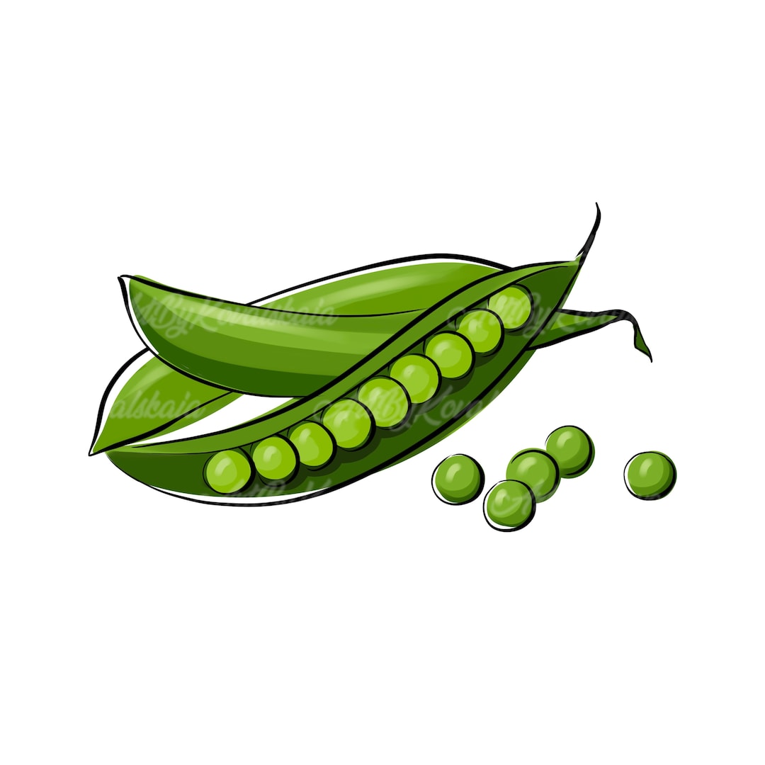 Green Peas Clipart: Vegetable PNG Image (digital Download) - Etsy