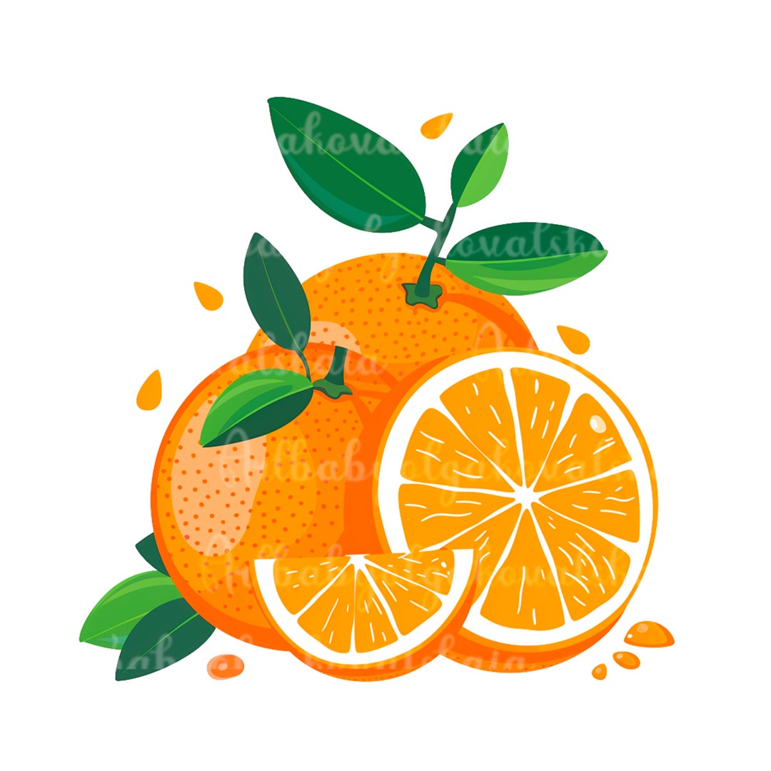 Orange Clipart, Oranges PNG, Fruits Clip Art, Digital Download - Etsy