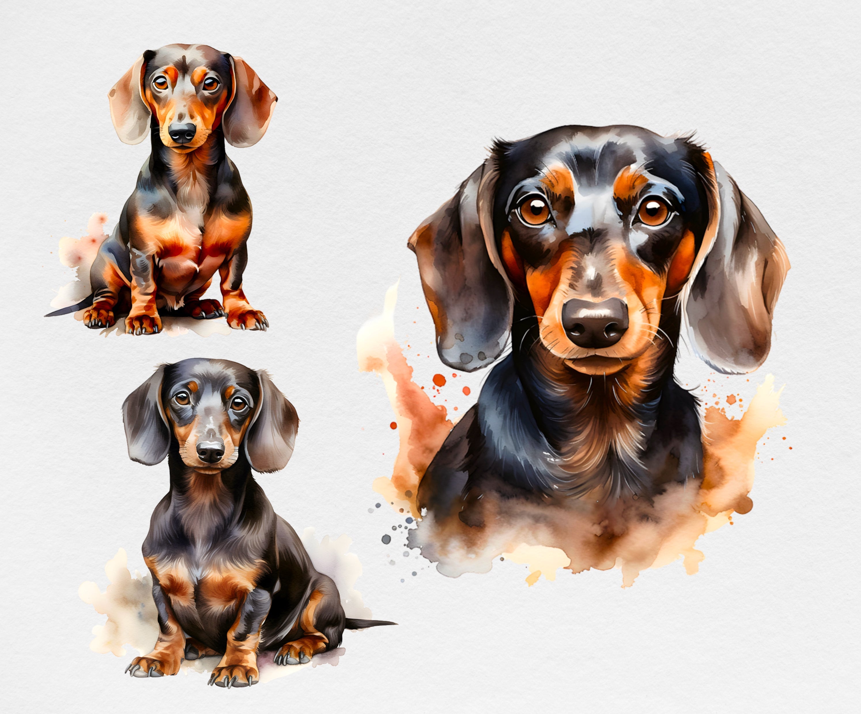 Watercolor Dachshund Dog PNG, Clipart, Puppy Clip Art, Digital Download ...