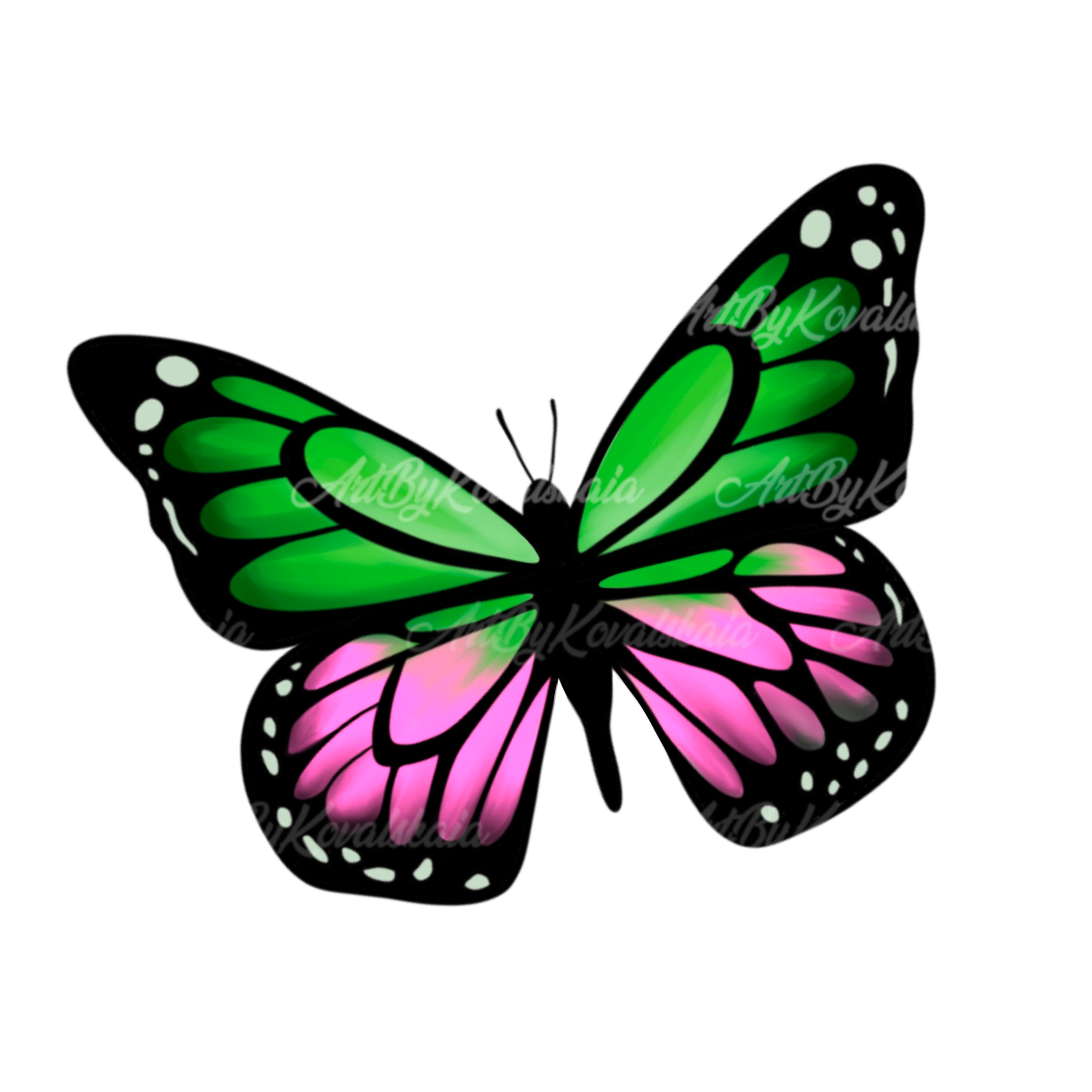 Green And Pink Butterfly Clipart