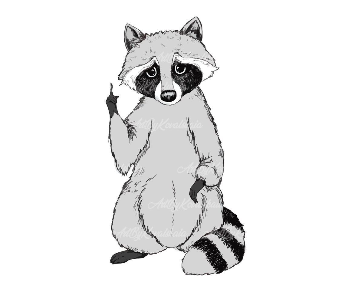 Raccoon Clipart, Raccoon PNG, Digital Download - Etsy