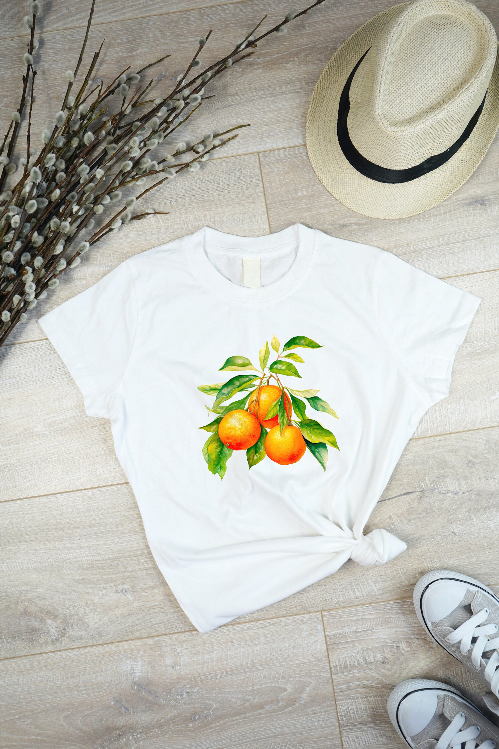 Watercolor Oranges Clipart, Citrus PNG, Fruits Clip Art, Digital ...