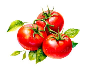 Sun Clipart, Sun PNG, Digital Download - Etsy