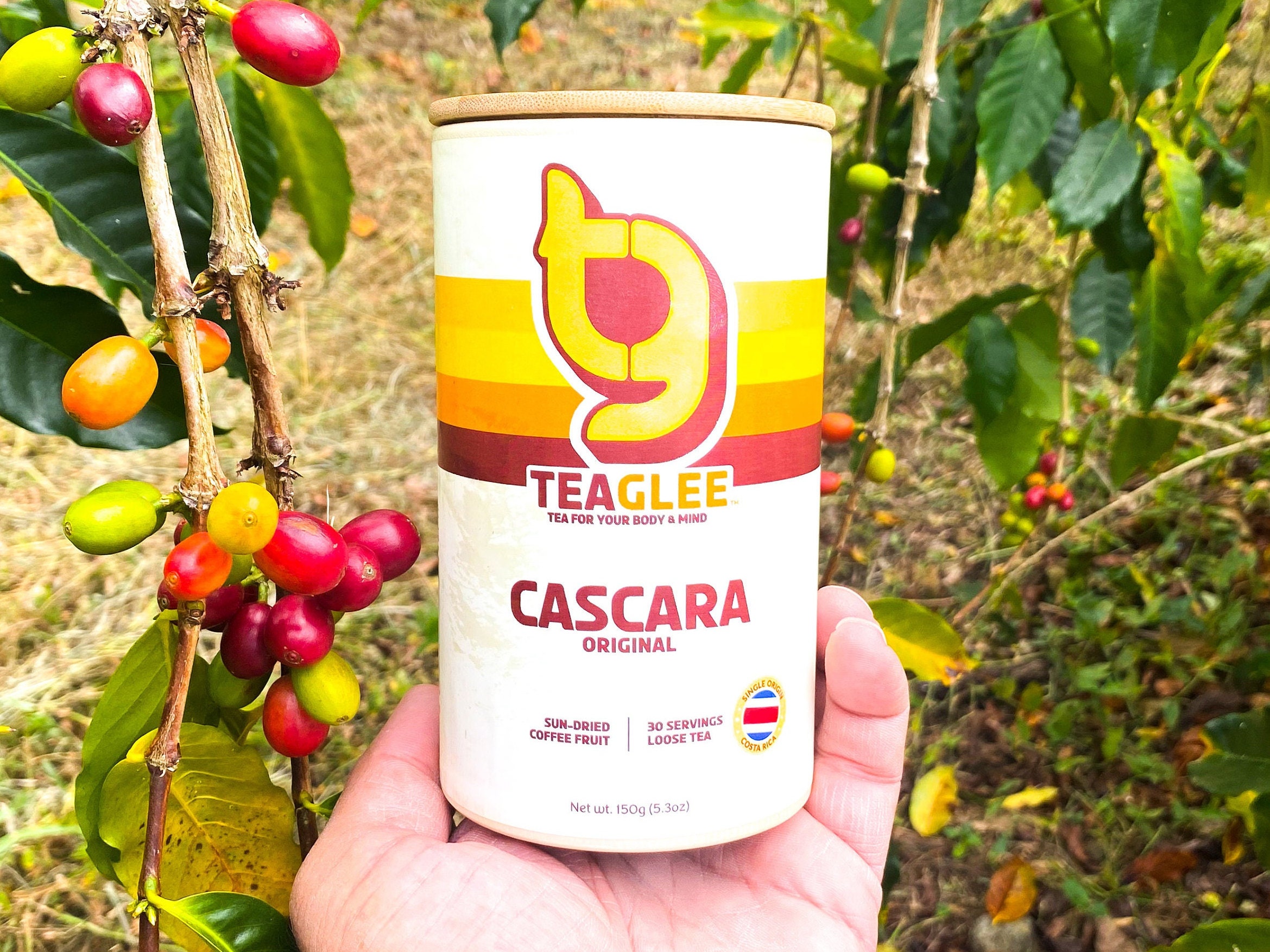 Organic Cascara Tea (coffee Cherry Tea) - Etsy