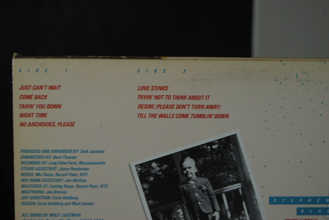 The J. GEILS BAND - Love Stinks L.P. - Etsy