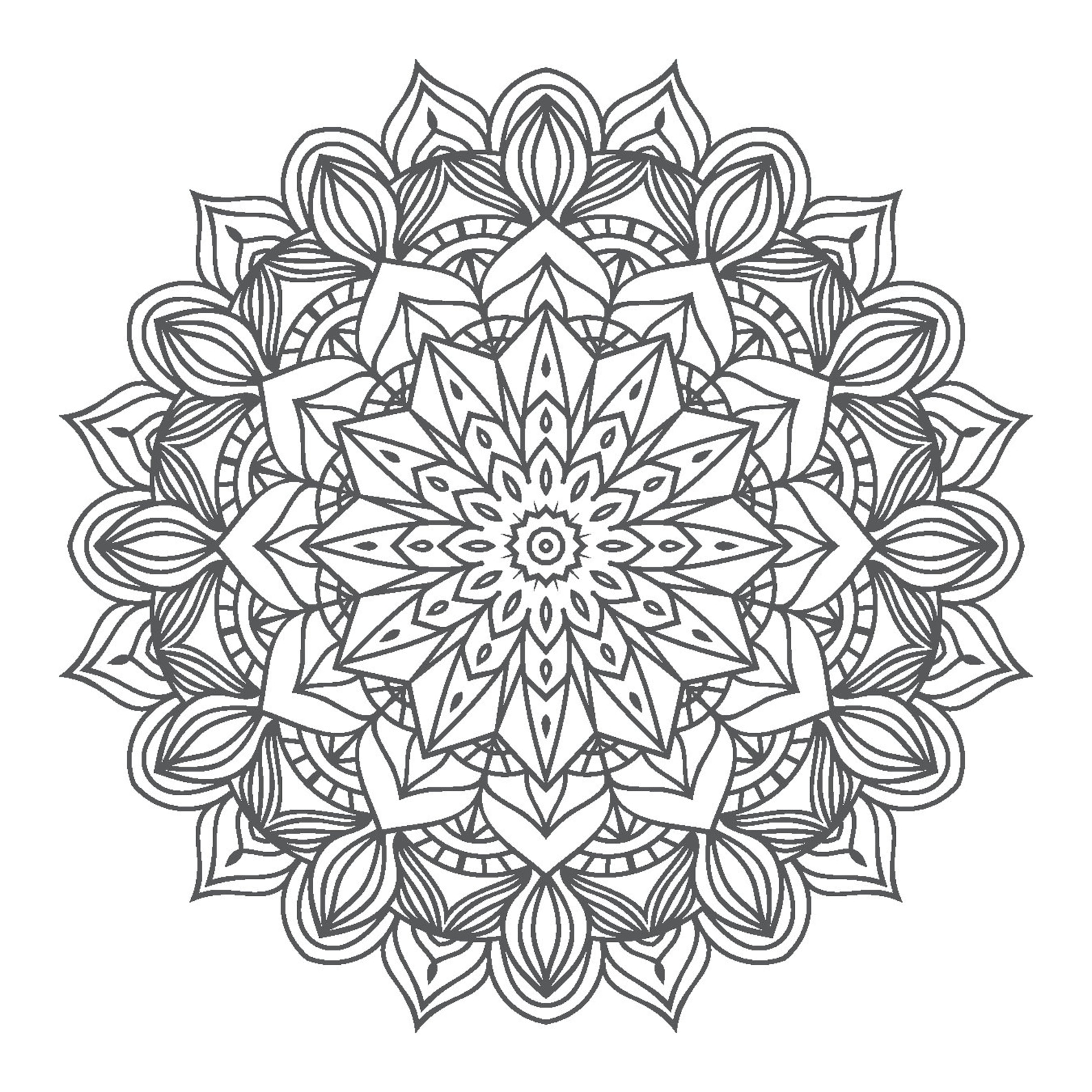 Cactus Flower Mandala Coloring Page, Adult Coloring Page - Etsy