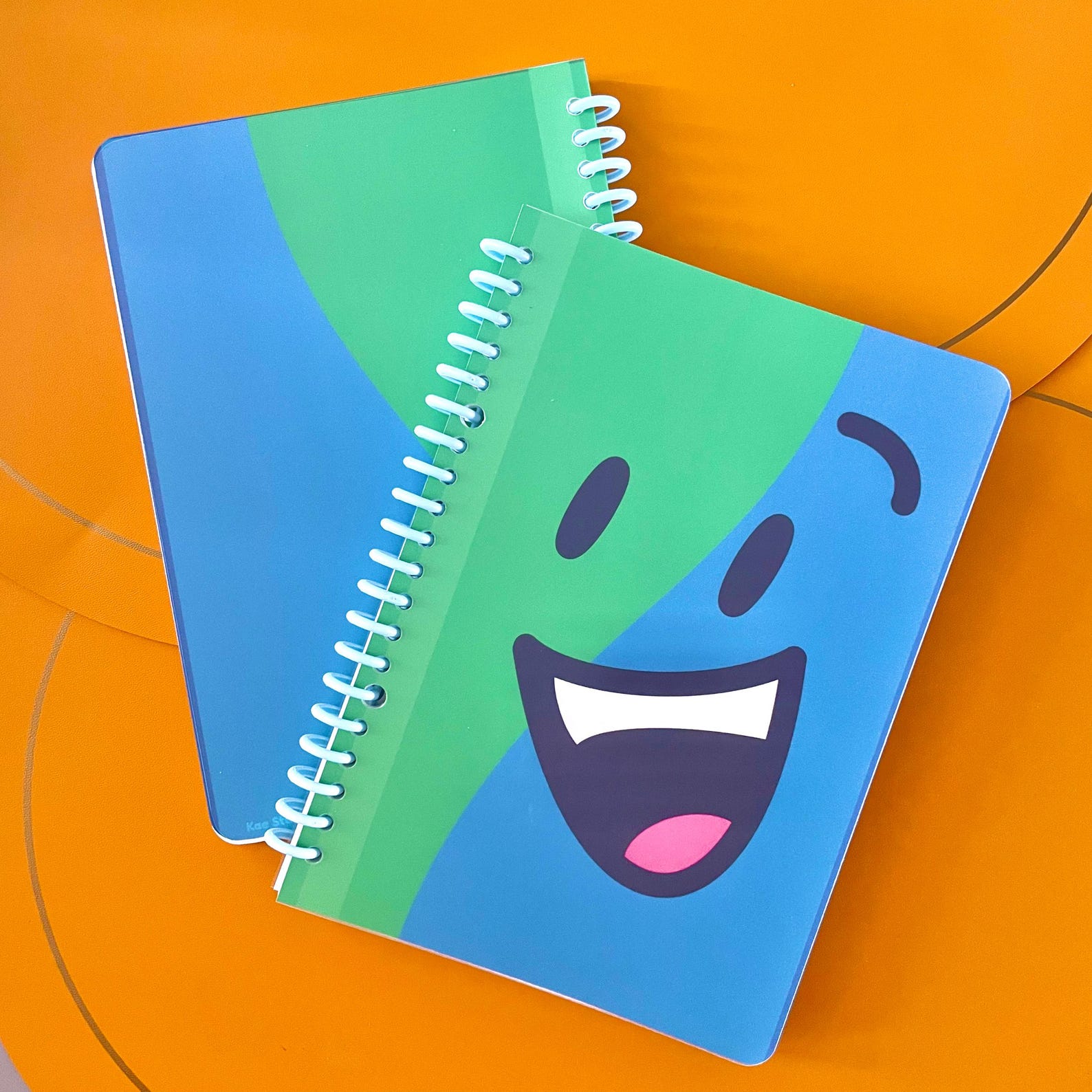 Book Spiral Notebook! (BFDI, BFDIA, TPOT) A5 Size, Blank Journal ...