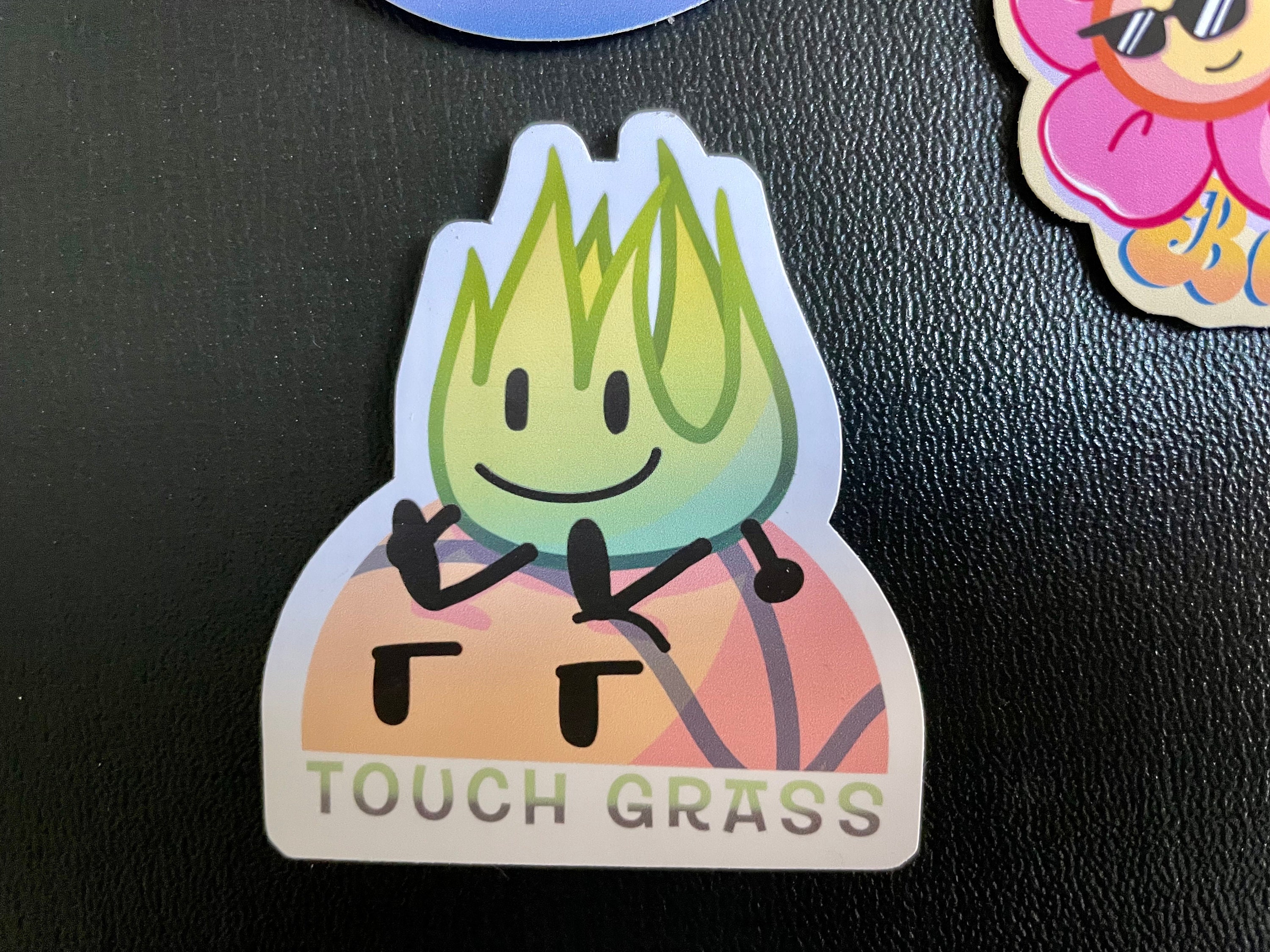 BFDI 2.5 Vinyl Sticker Pack 1 grassy Ruby Flower - Etsy