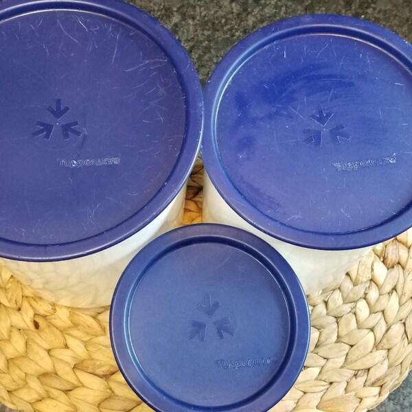 Tupperware Canister - Etsy