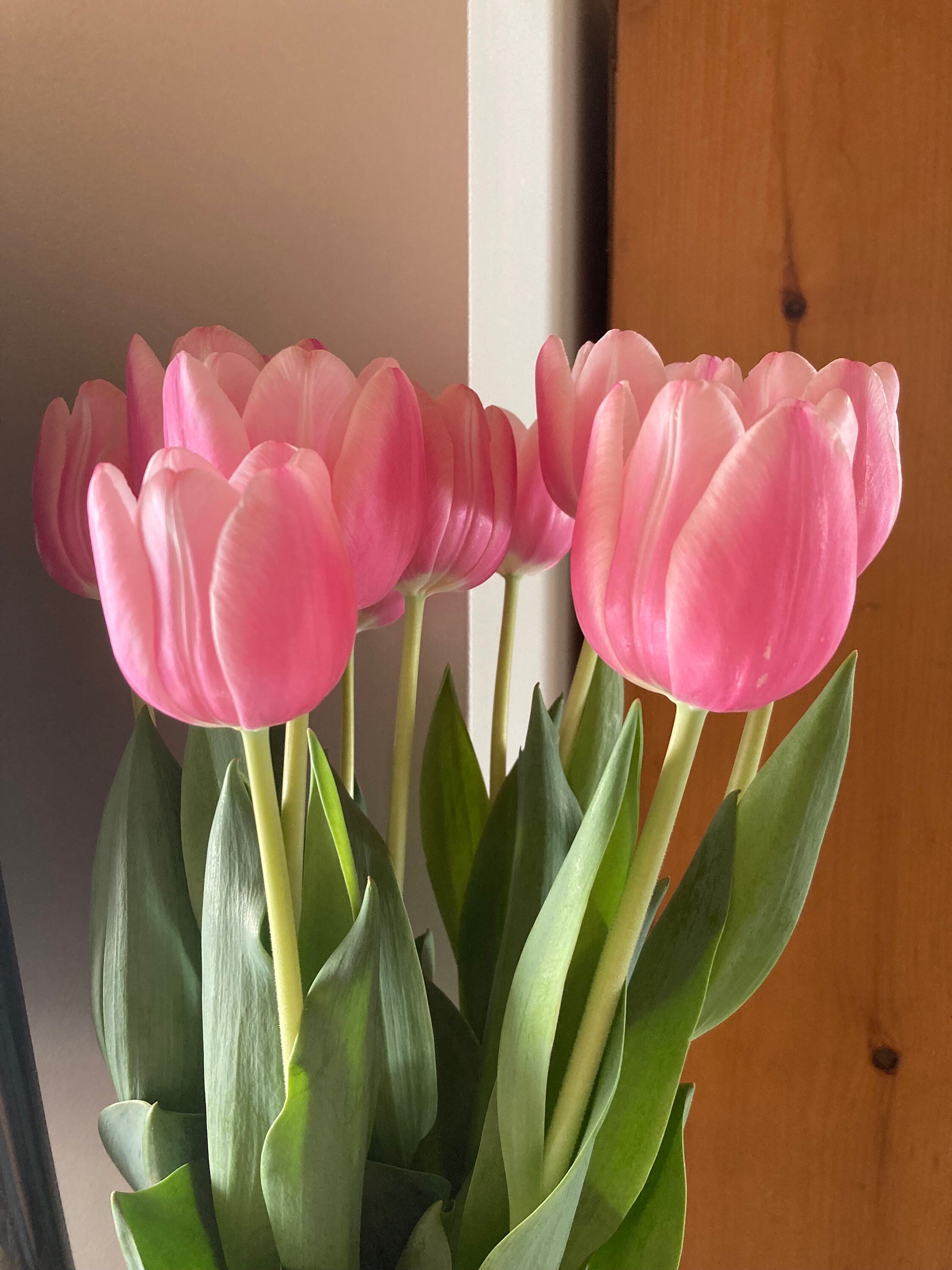 Prospect House Cross Stitch Pattern PDF Pattern, Maritime House Pattern ...