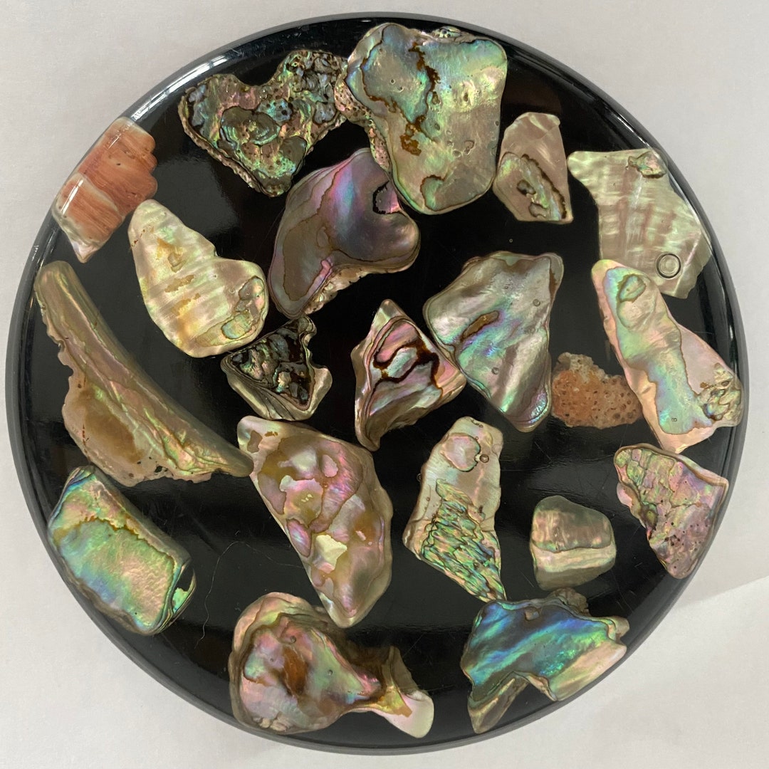 Vintage Round Abalone Shells Lucite Trivet Footed Hotplate - Etsy