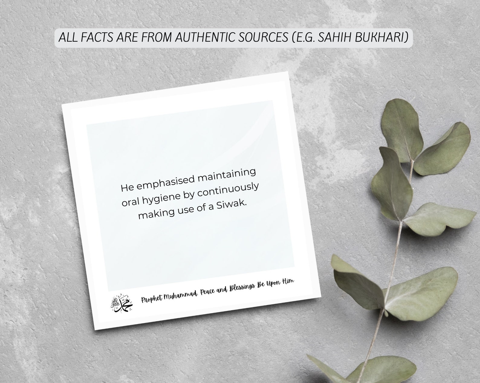 Seerah of Prophet Muhammad (peace Be Upon Him) Cards - 50 Facts About ...