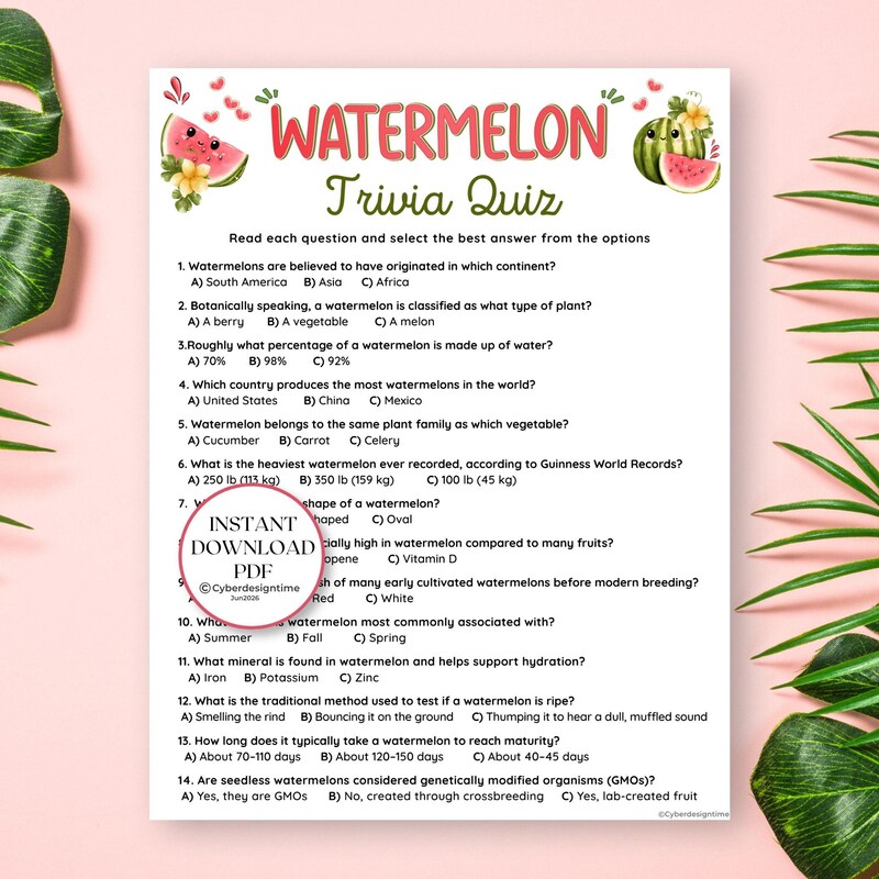Watermelon Birthday Ideas - Etsy
