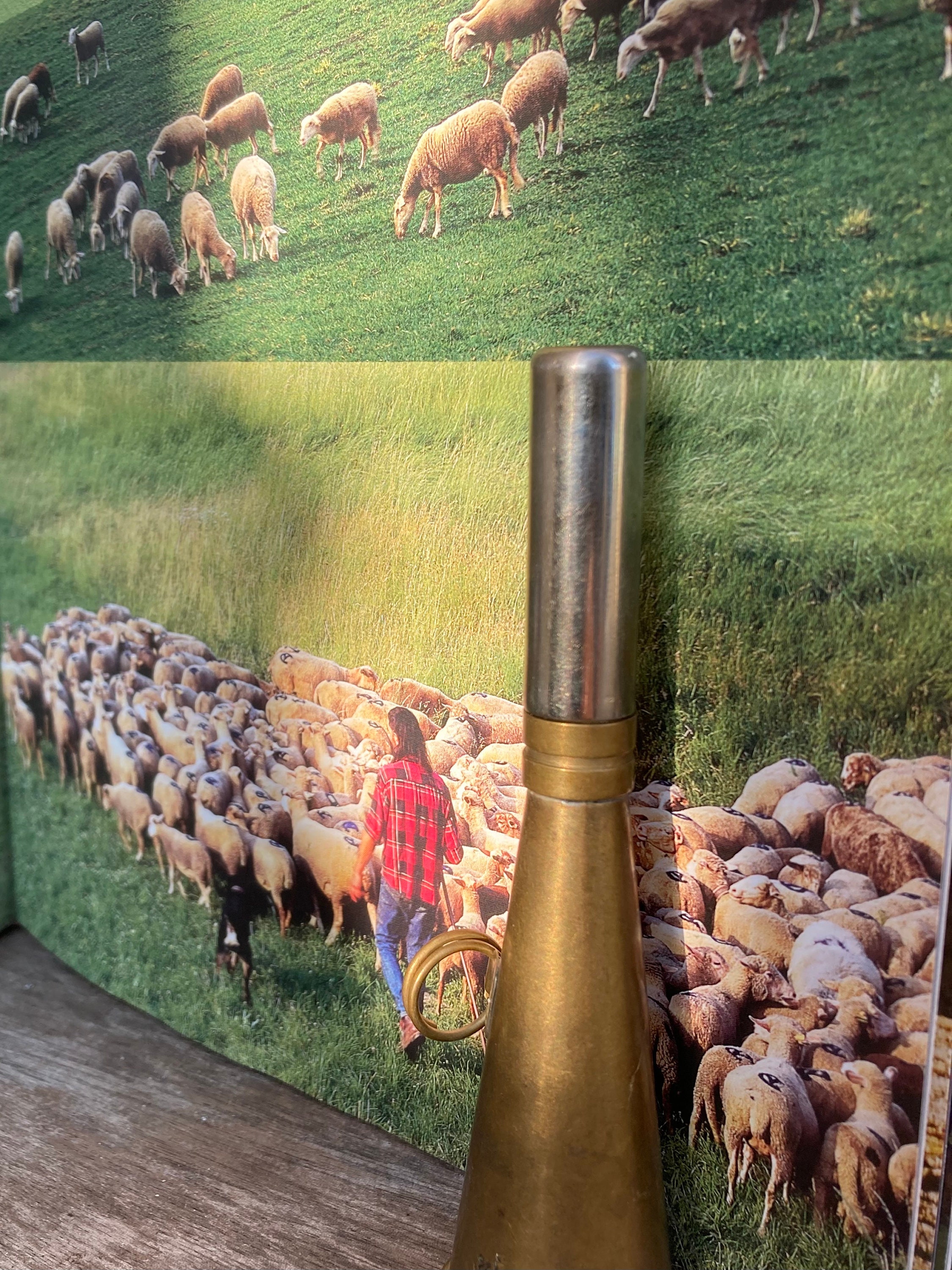 Vintage Hunting Horn French 1950s Hunting Bugle Musical - Etsy