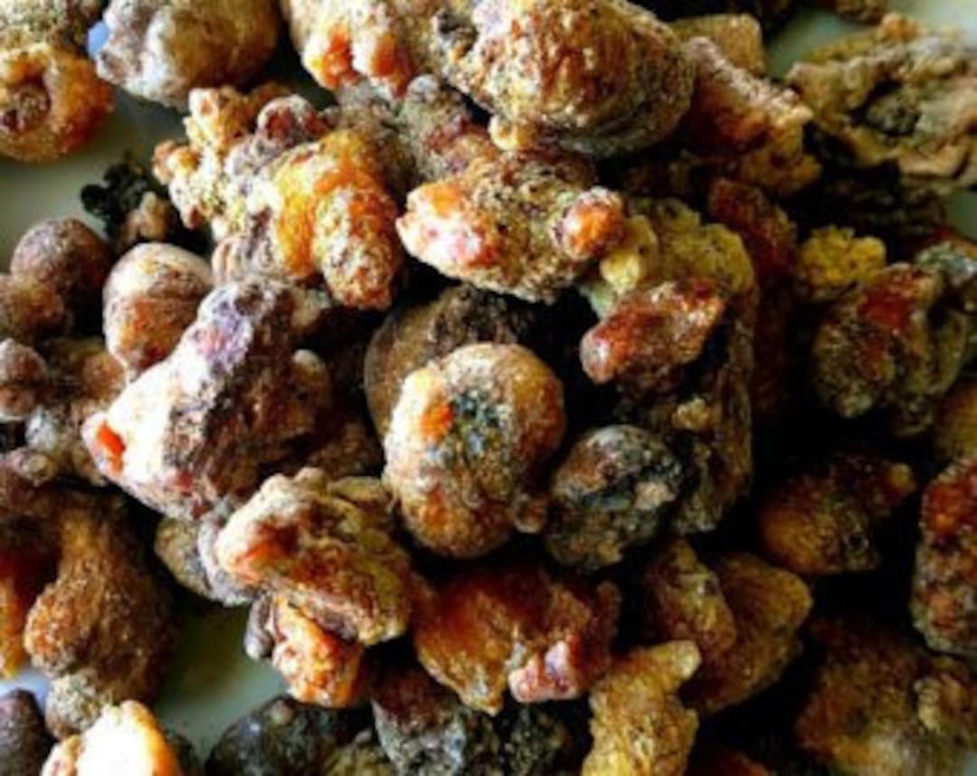 1 Ounce Smaller Pieces Pinon Pinyon Pine Resin Sap for Incense Salves ...