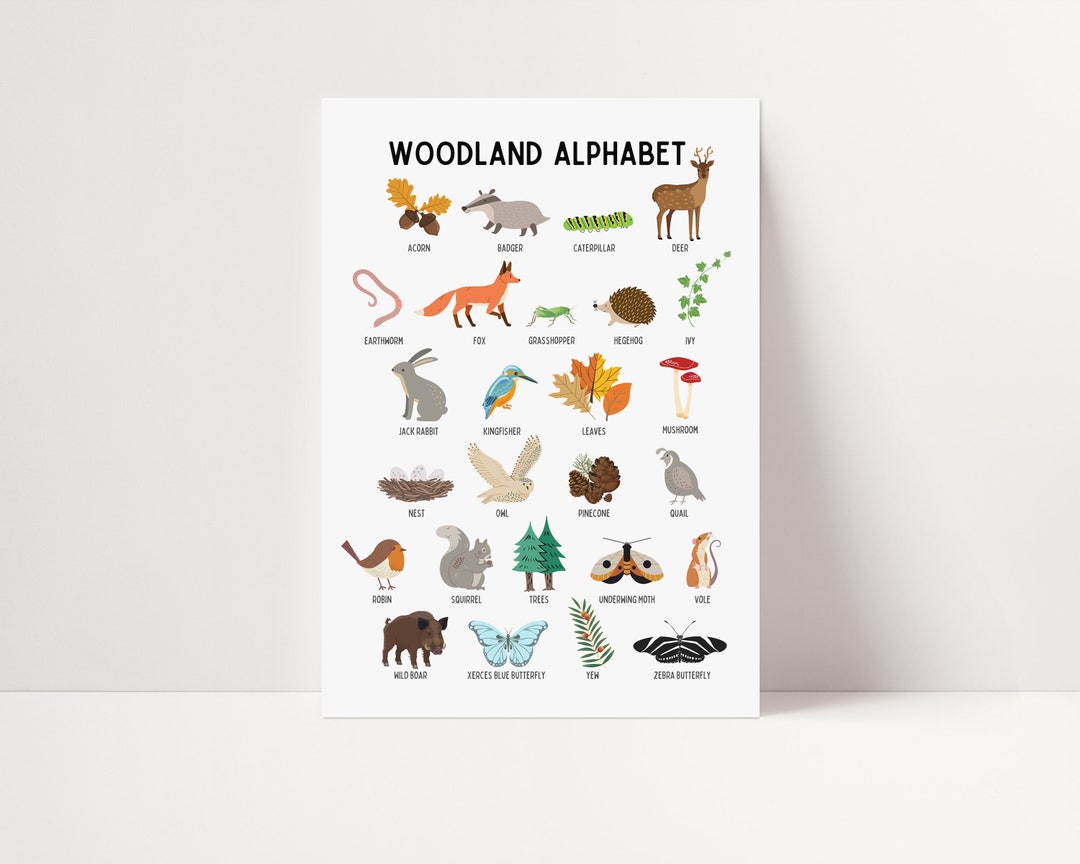 Woodland Animal Alphabet Learning and Educational Print - Etsy