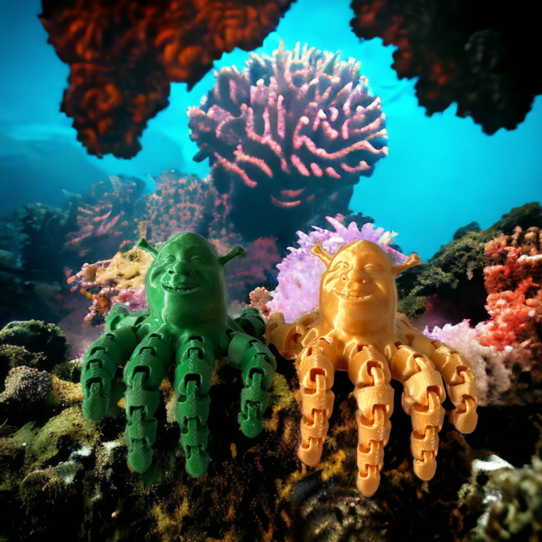 Shrektopus 3D Printed Fidget Toy is a Colorful Sensory Toy for - Etsy