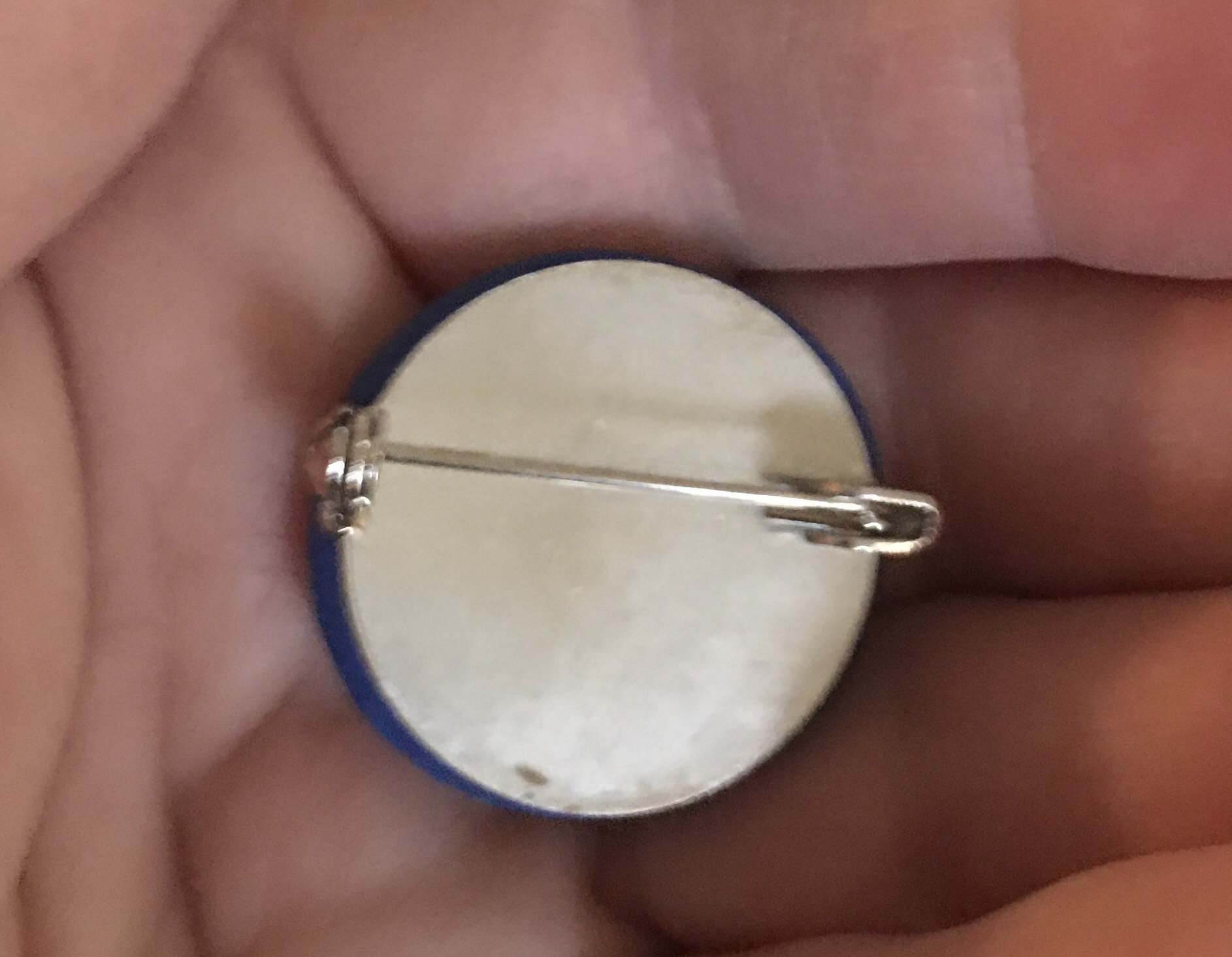 Cookie Monster Pin - Etsy