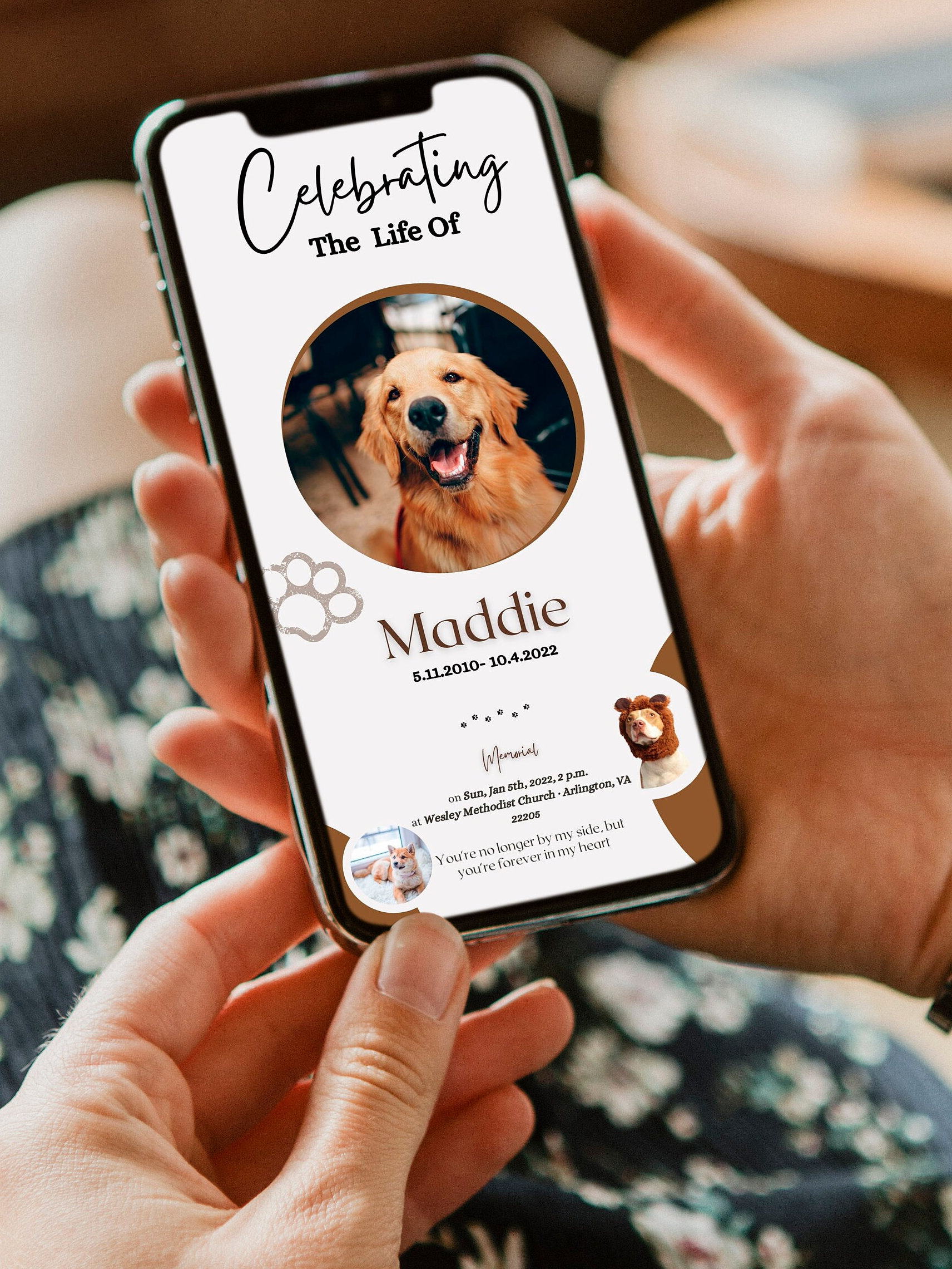 Electronic Pet Obituary Announcement, Dog Cat Funeral Program, Pet ...