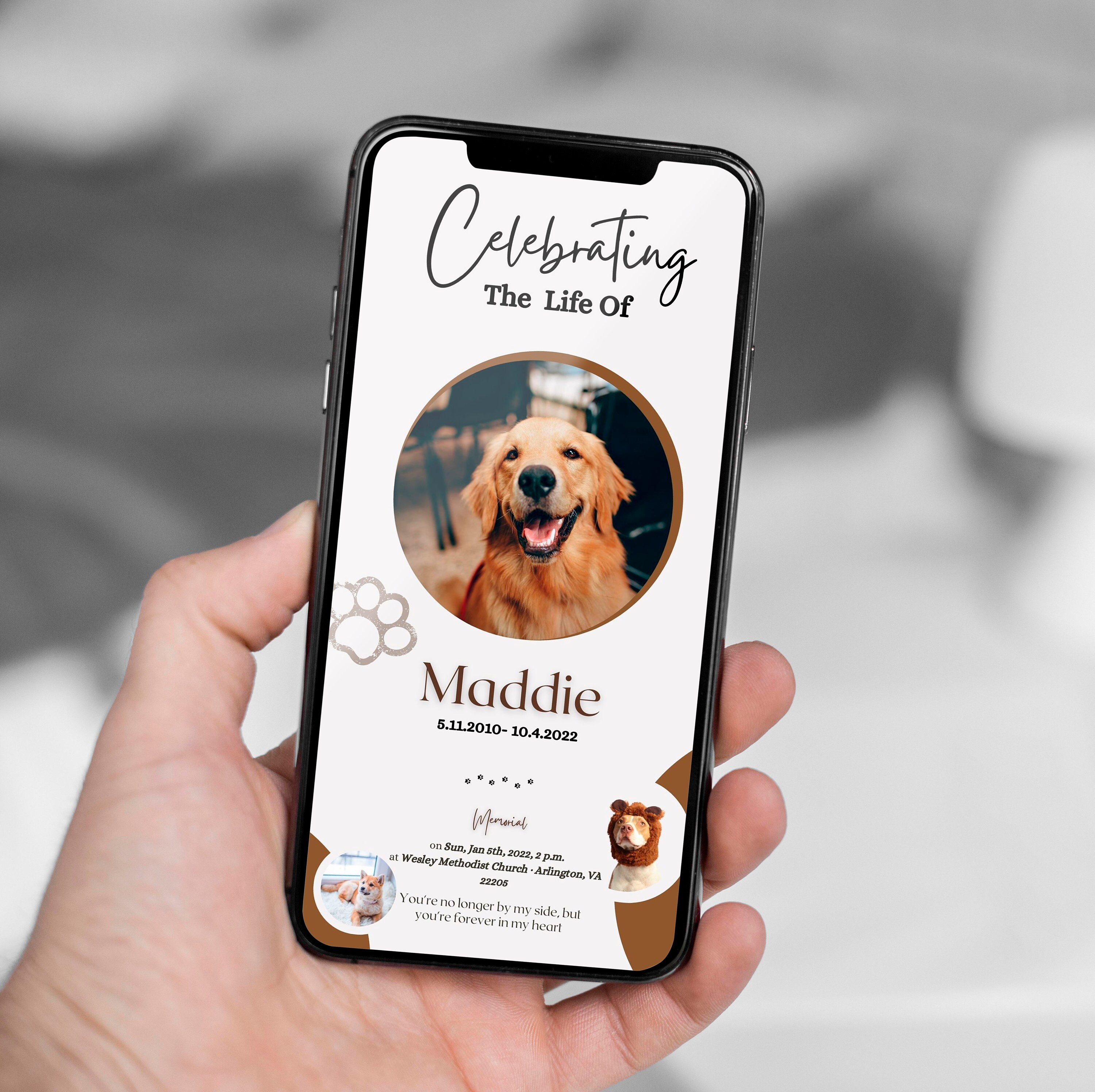 Electronic Pet Obituary Announcement, Dog Cat Funeral Program, Pet ...