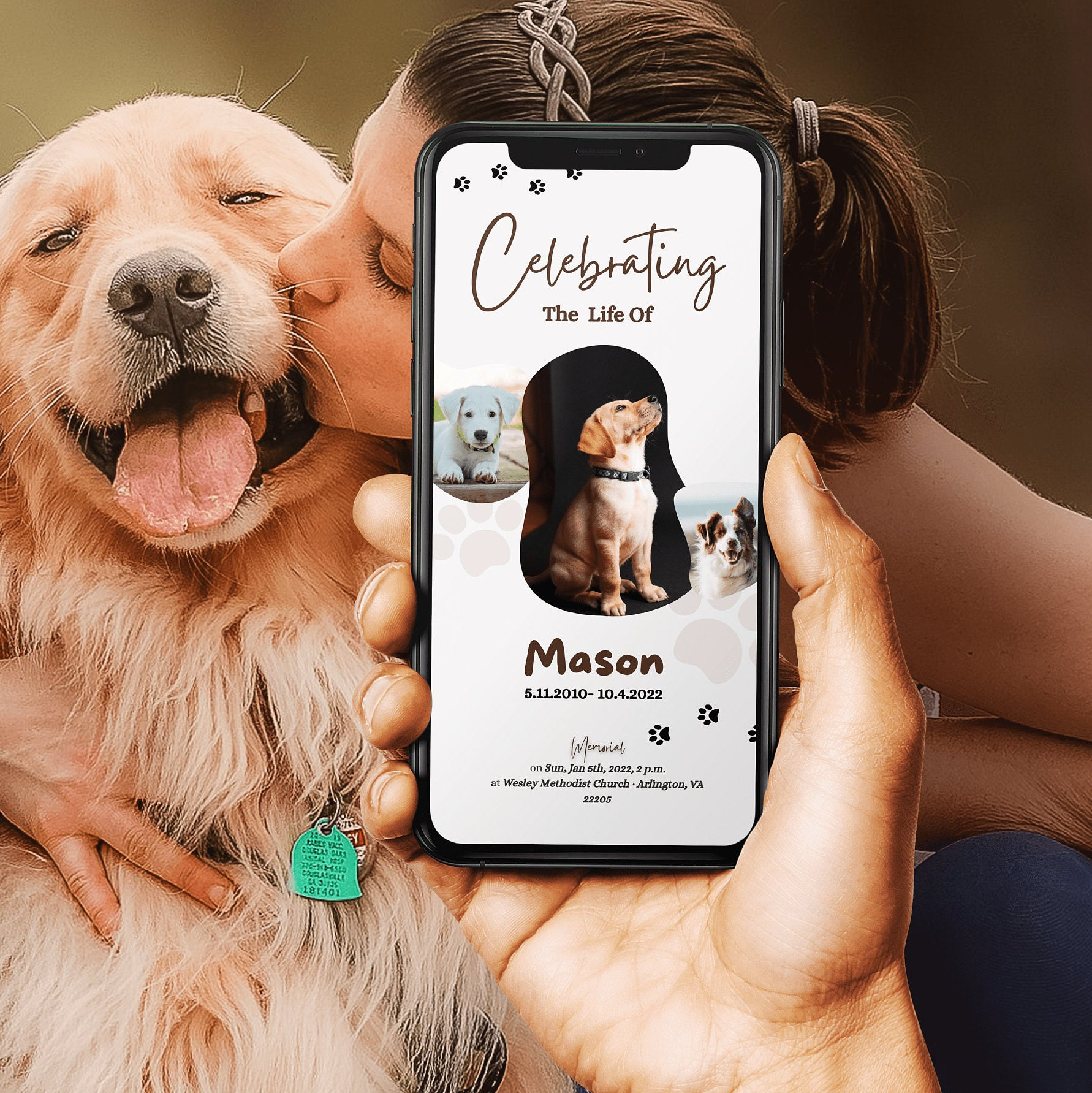 Electronic Pet Funeral Announcement, Pet Dog Cat Obituary, Digital Pet ...