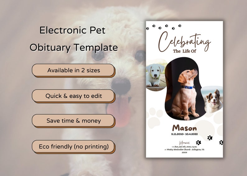 Electronic Pet Funeral Announcement, Pet Dog Cat Obituary, Digital Pet ...