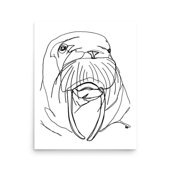 Walrus Face Drawing