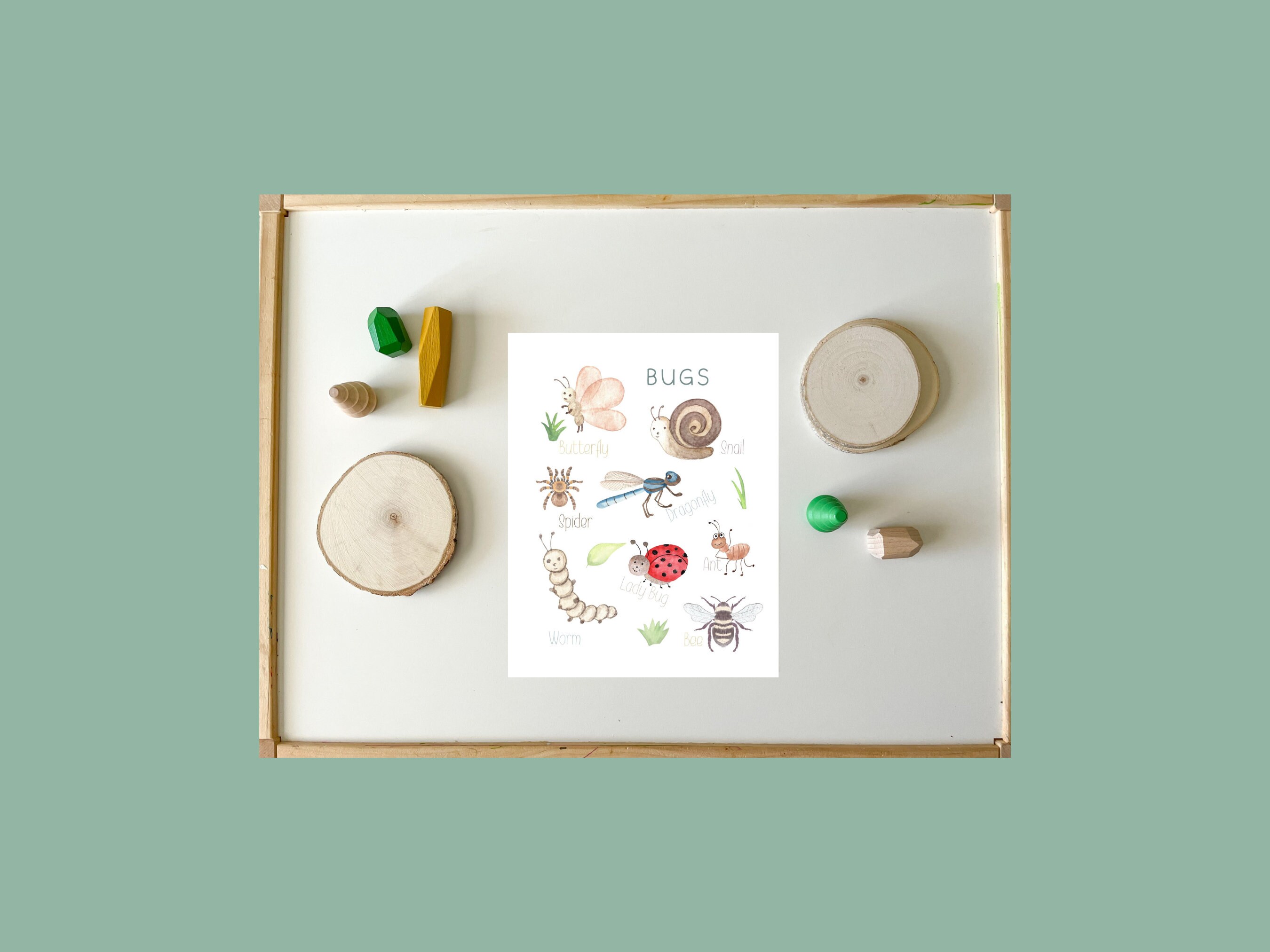 Watercolor Bug Print | Educational Insect Poster (digital Download) - Etsy