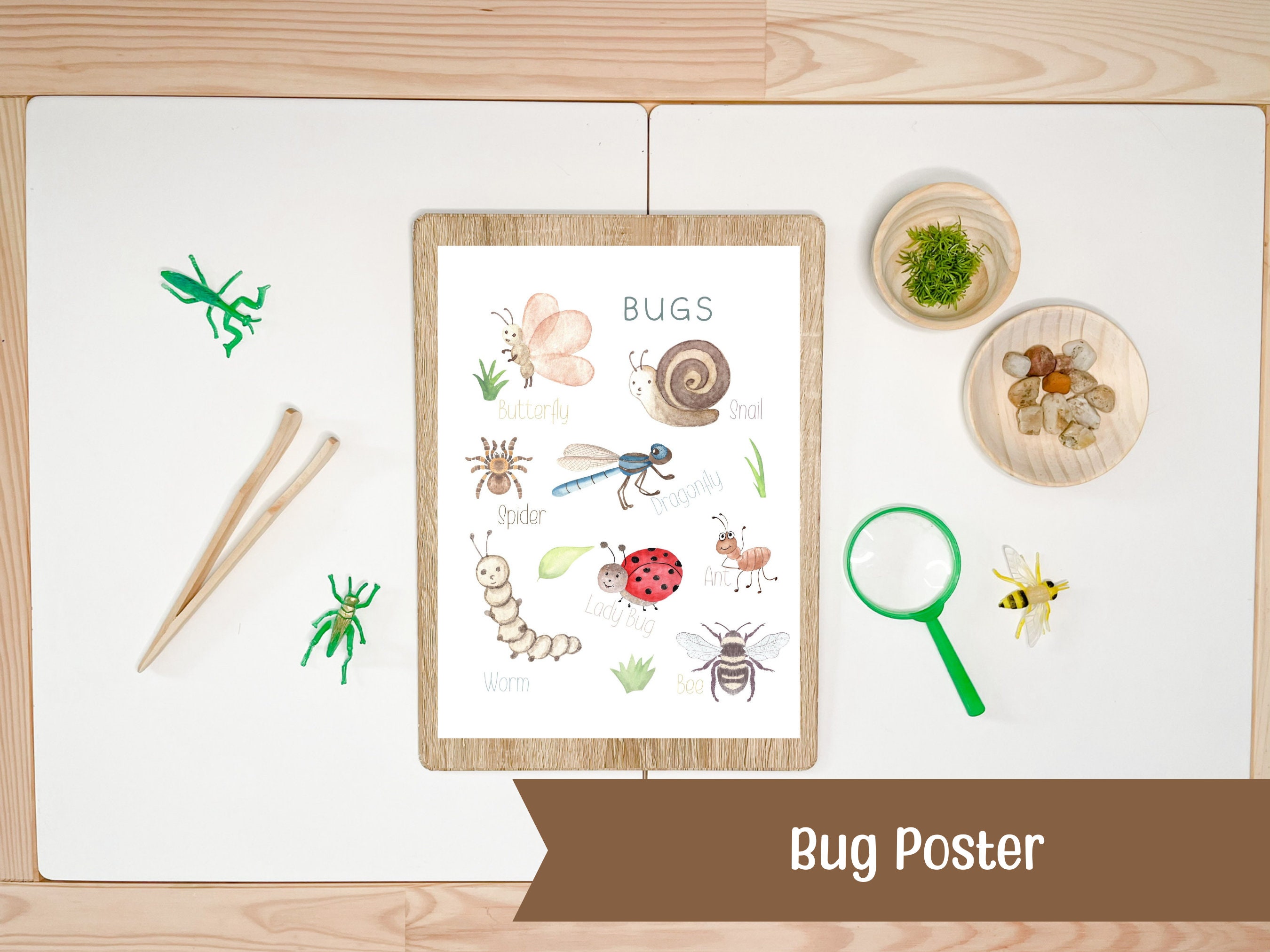 Cute Bug Poster | Educational Printable Poster - Etsy