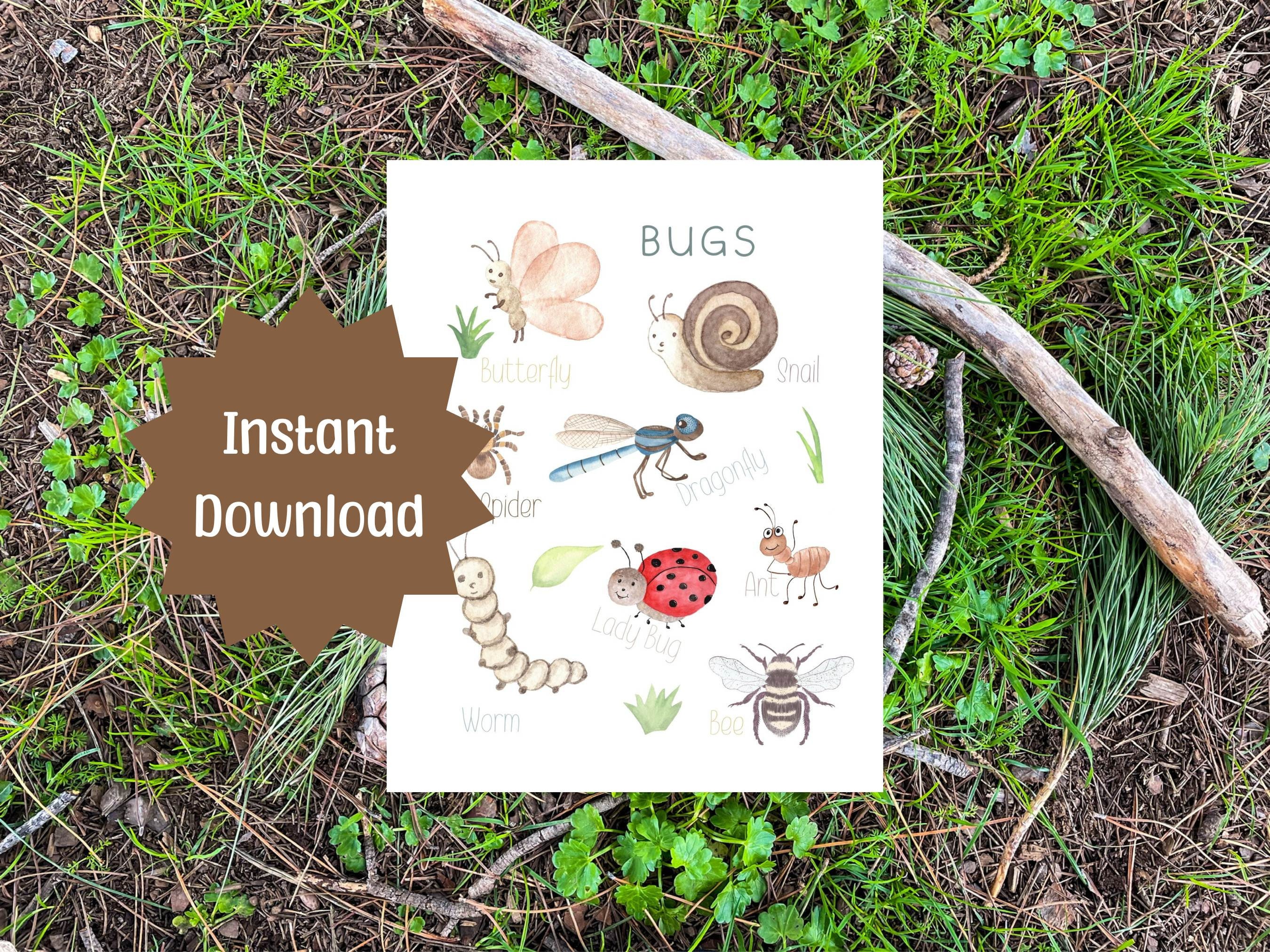 Cute Bug Poster | Educational Printable Poster - Etsy