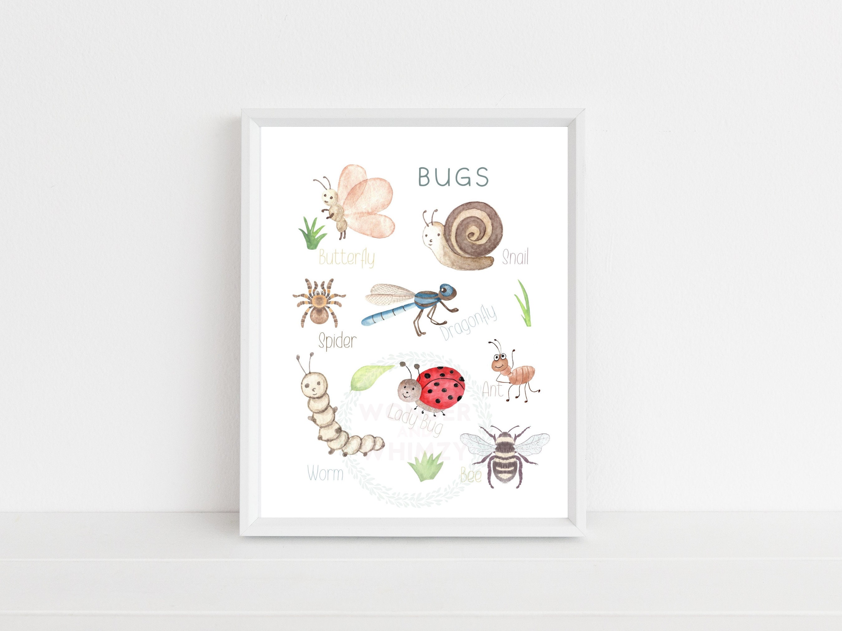 Watercolor Bug Print | Educational Insect Poster (digital Download) - Etsy