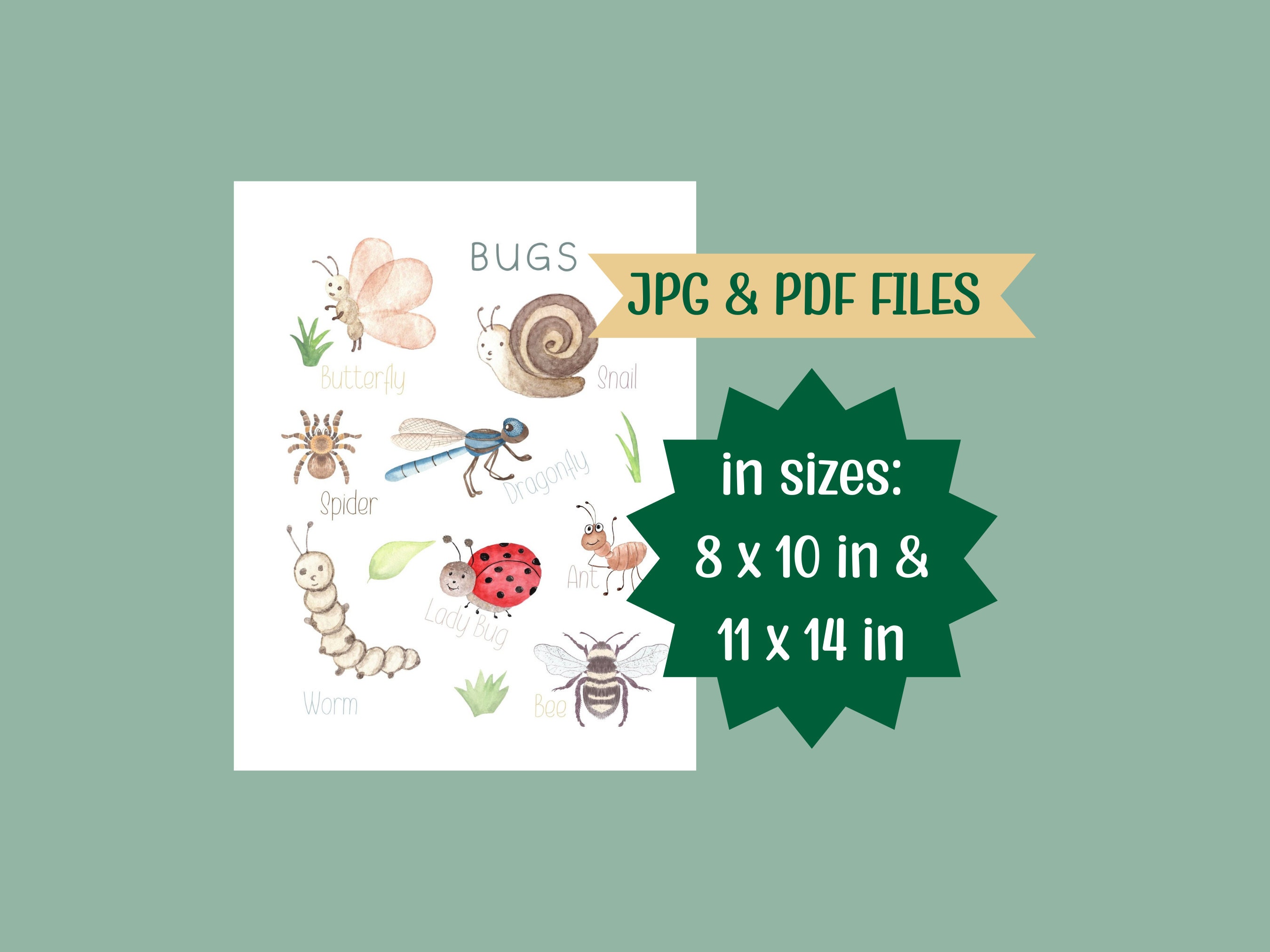 Cute Bug Poster | Educational Printable Poster - Etsy