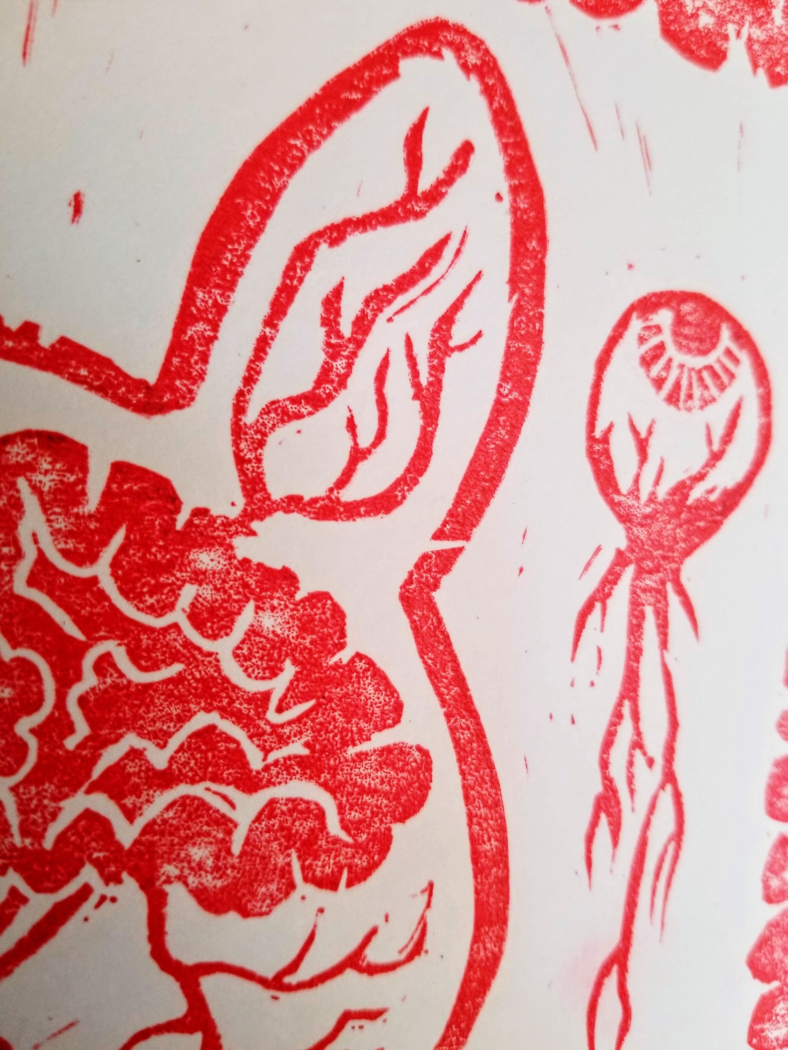 Rabbit Guts Linocut Block Print 9w X 11h - Etsy