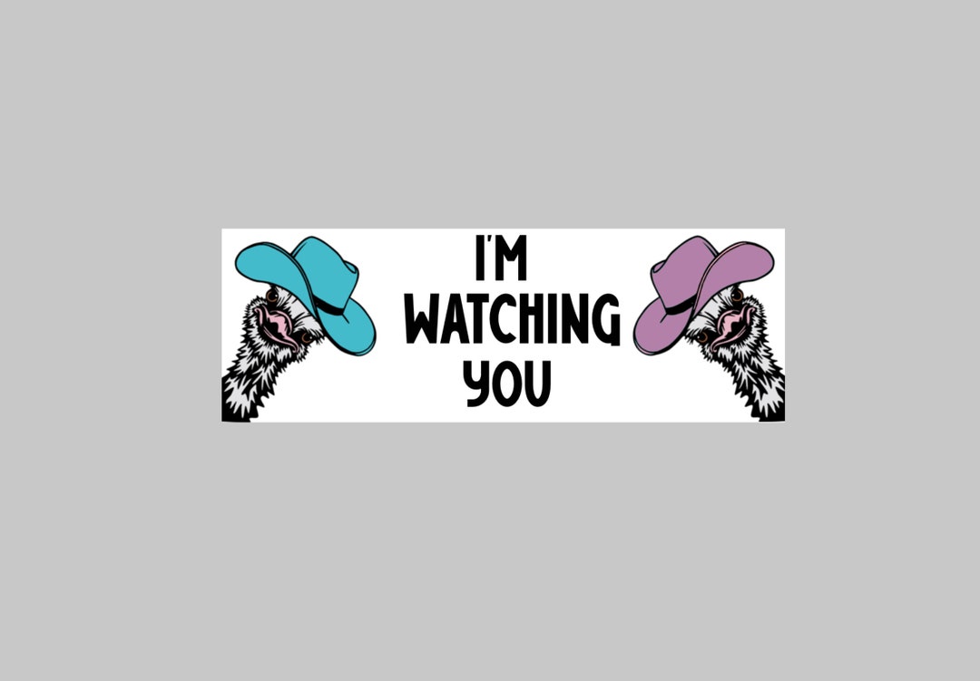 Im Watching You Bumper Sticker Car Magnet - Etsy