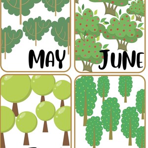 Months of the Year Flashcards With Trees. Trees Represent the | Etsy