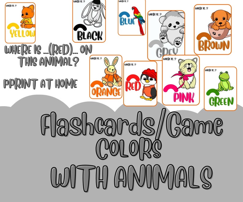 Colors Flashcards With Animals - Etsy