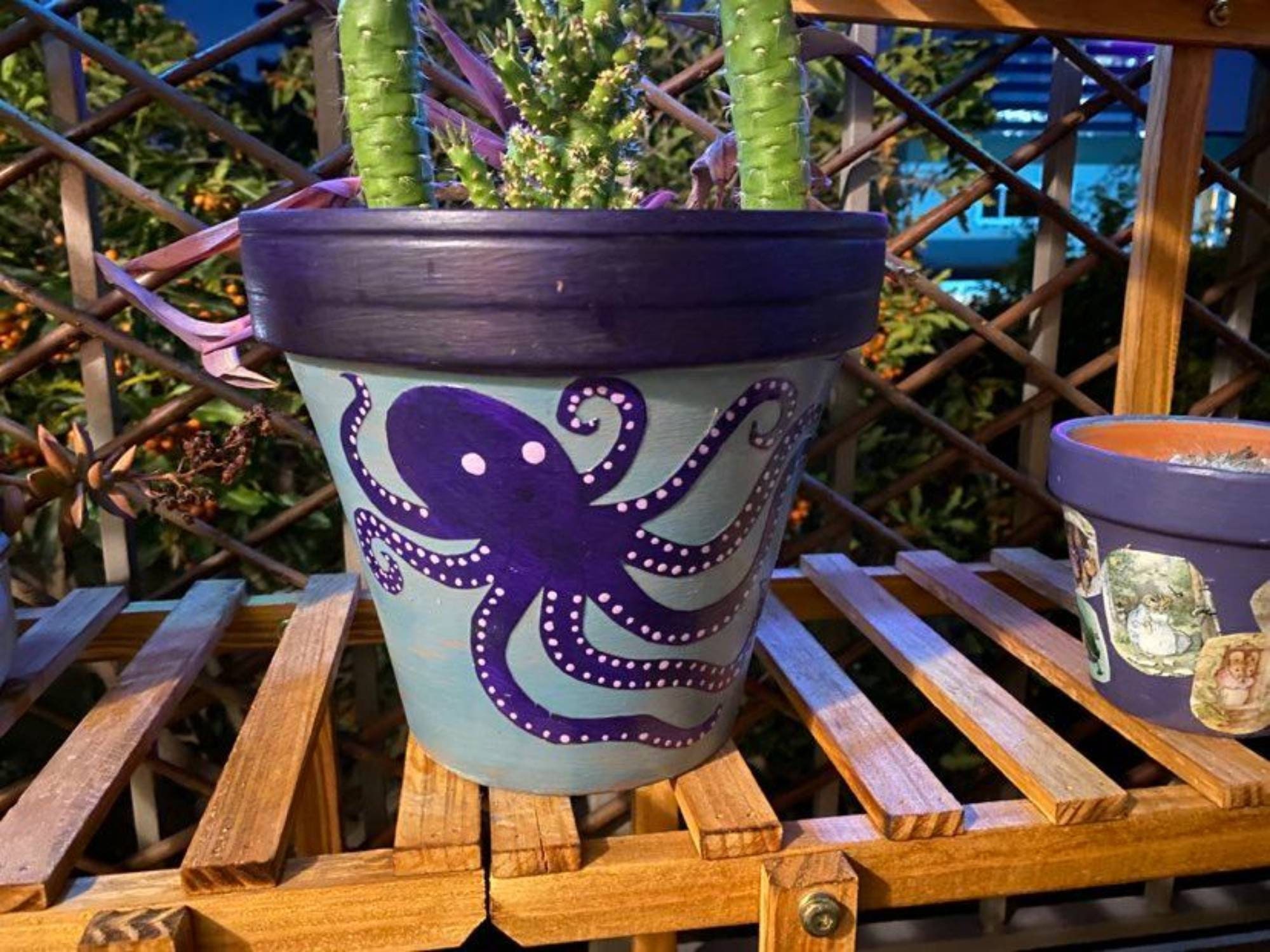 Octopus Hand Painted Terra Cotta Clay Succulent Flower Planter Pot - Etsy