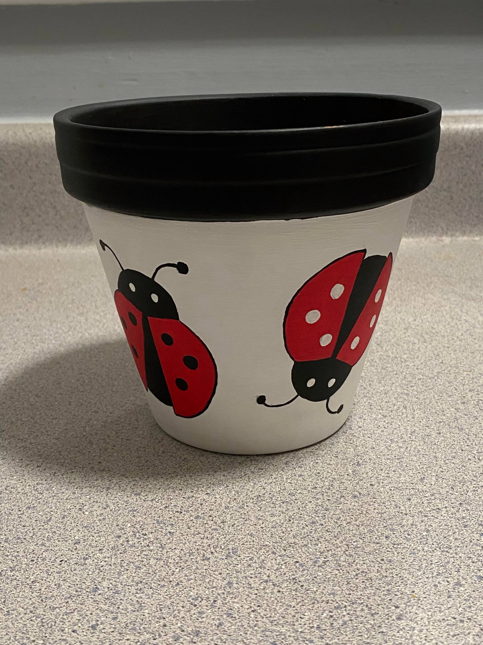 8 Inch Ladybugs Hand Painted Terra Cotta Clay Succulent Flower Planter ...