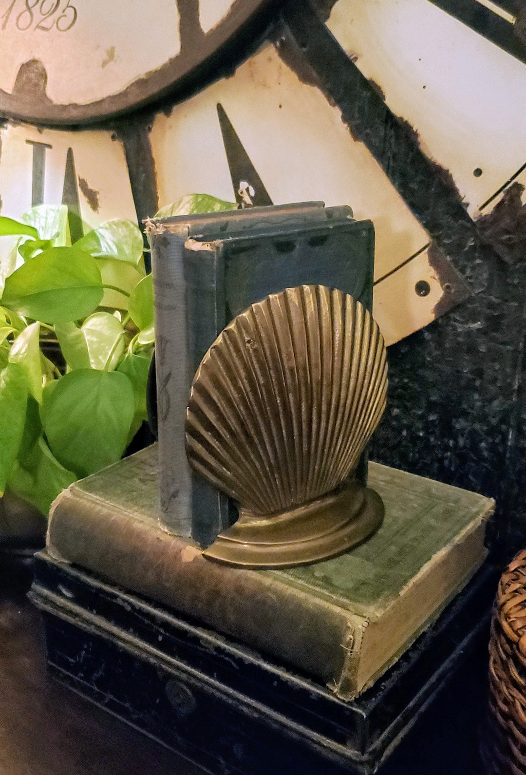 Vintage Brass Shell Bookends , Seashell Bookends , Beach Bookends , Set ...