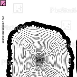 Tree Rings Svg, Tree Stump, Wood Log, Lumberjack, Svg Esp Dxf Jpg Png ...
