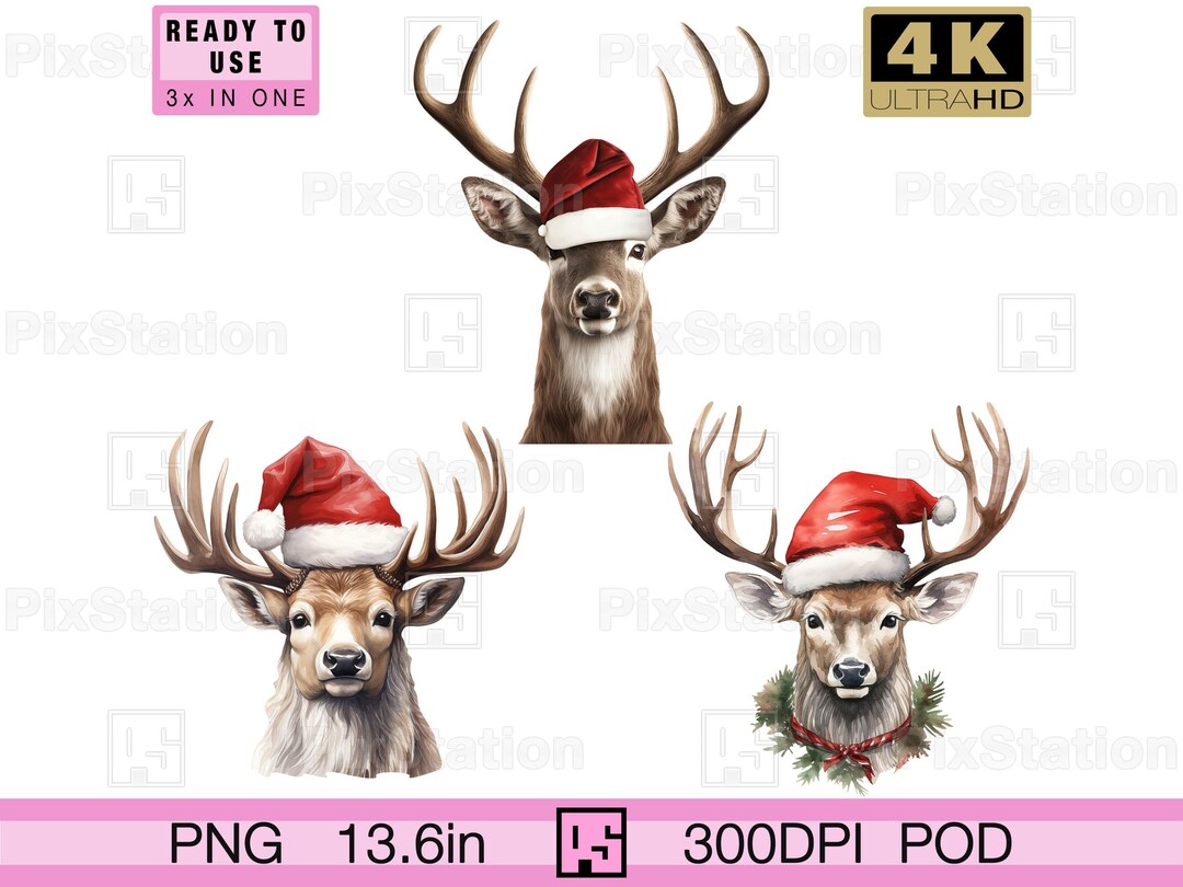 Christmas Deer in Santa Claus Hat Png Set New Year Deer Png - Etsy
