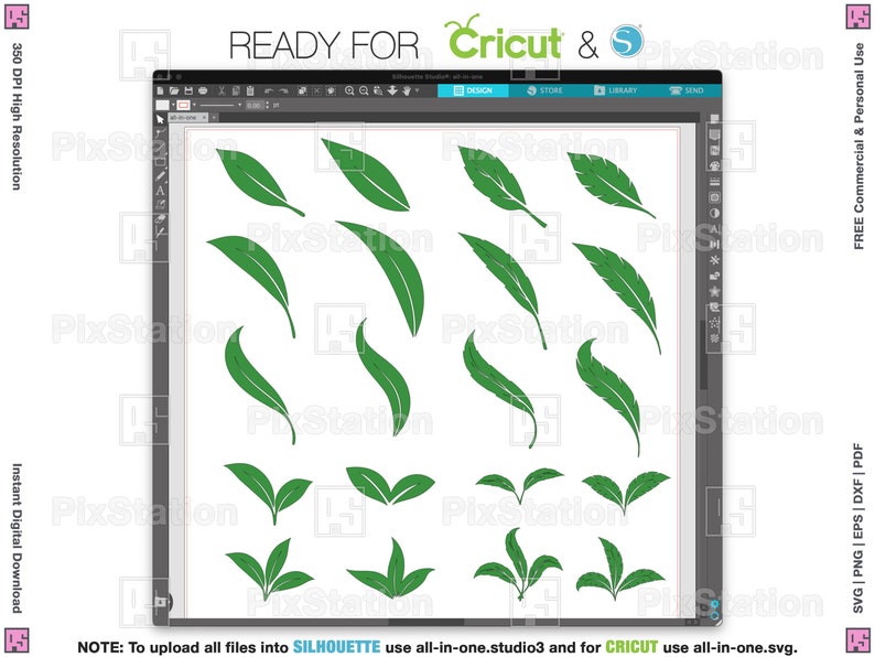 Leaves Svg Bundle Leaves Svg Files Leaves Clipart Png - Etsy
